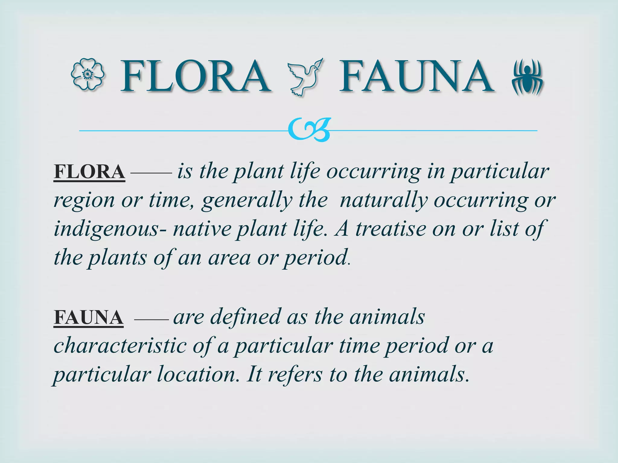 Flora and Fauna in the Philippines | PPTX