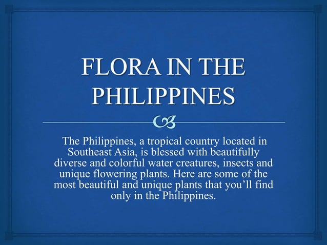 Flora and Fauna in the Philippines | PPTX