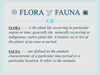 Flora and Fauna in the Philippines | PPTX