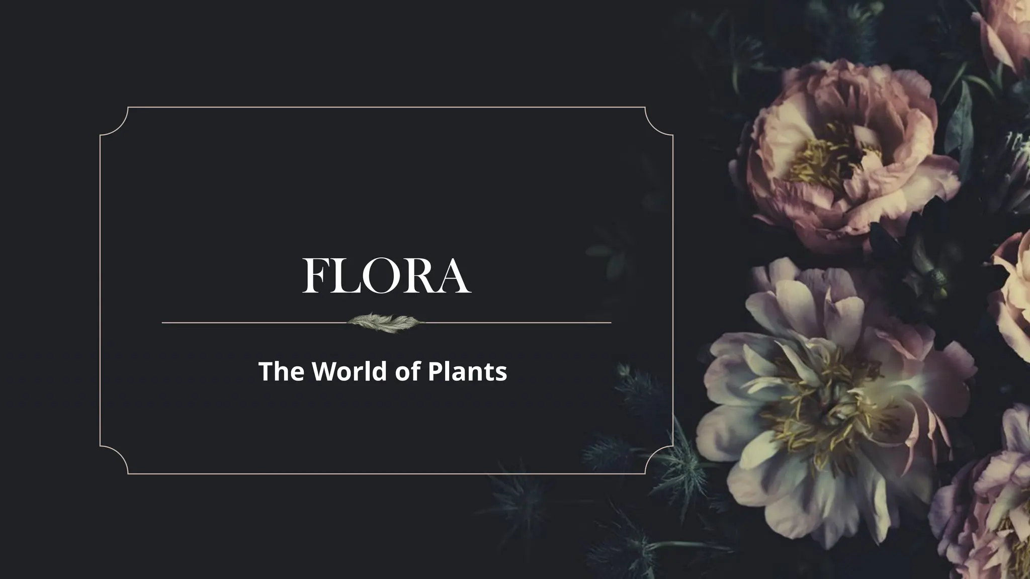 FFFFFFFFFFLLLLLLLLOOOOOOOORRRRRRAAAAA.pptx