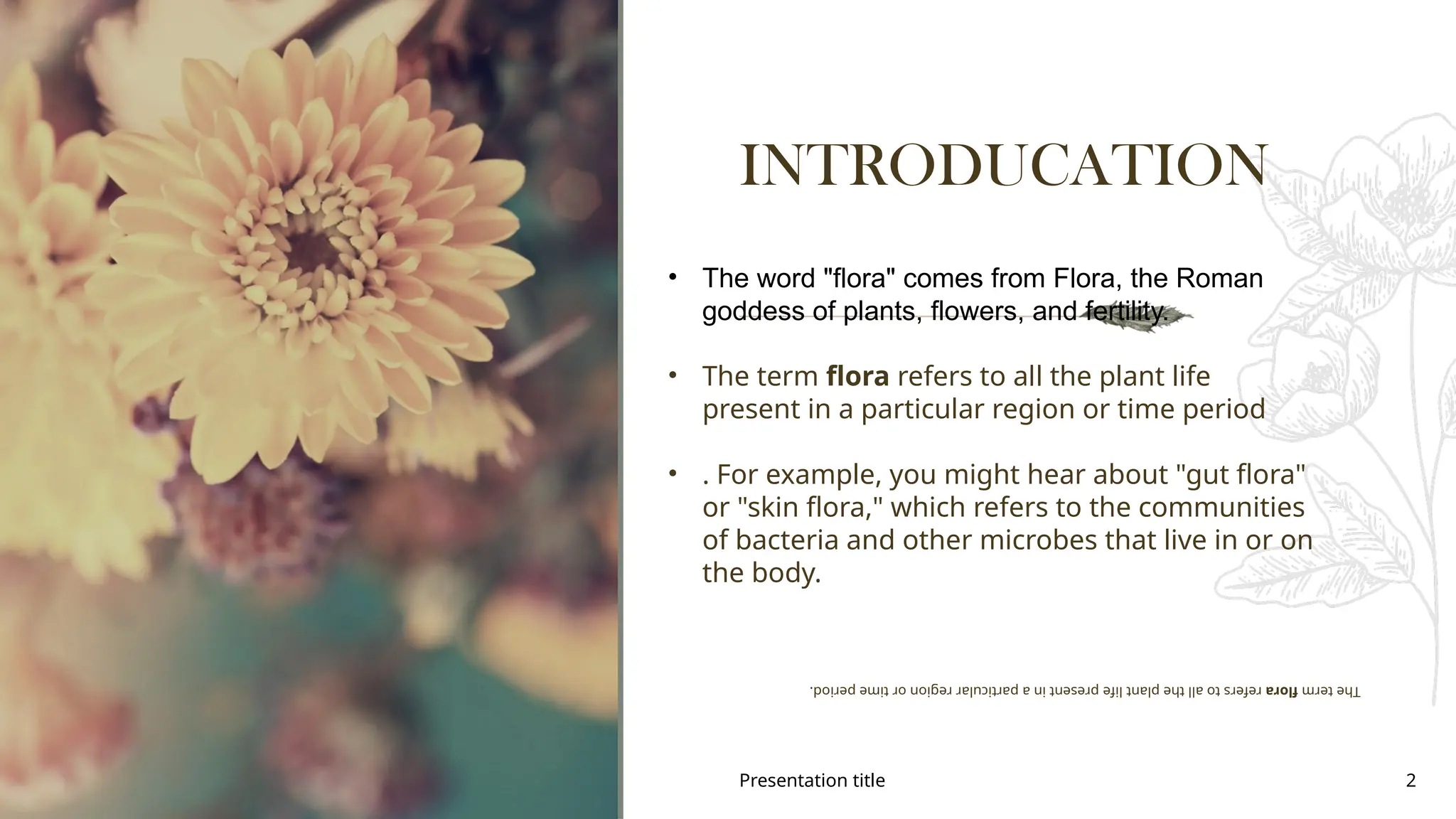 FFFFFFFFFFLLLLLLLLOOOOOOOORRRRRRAAAAA.pptx