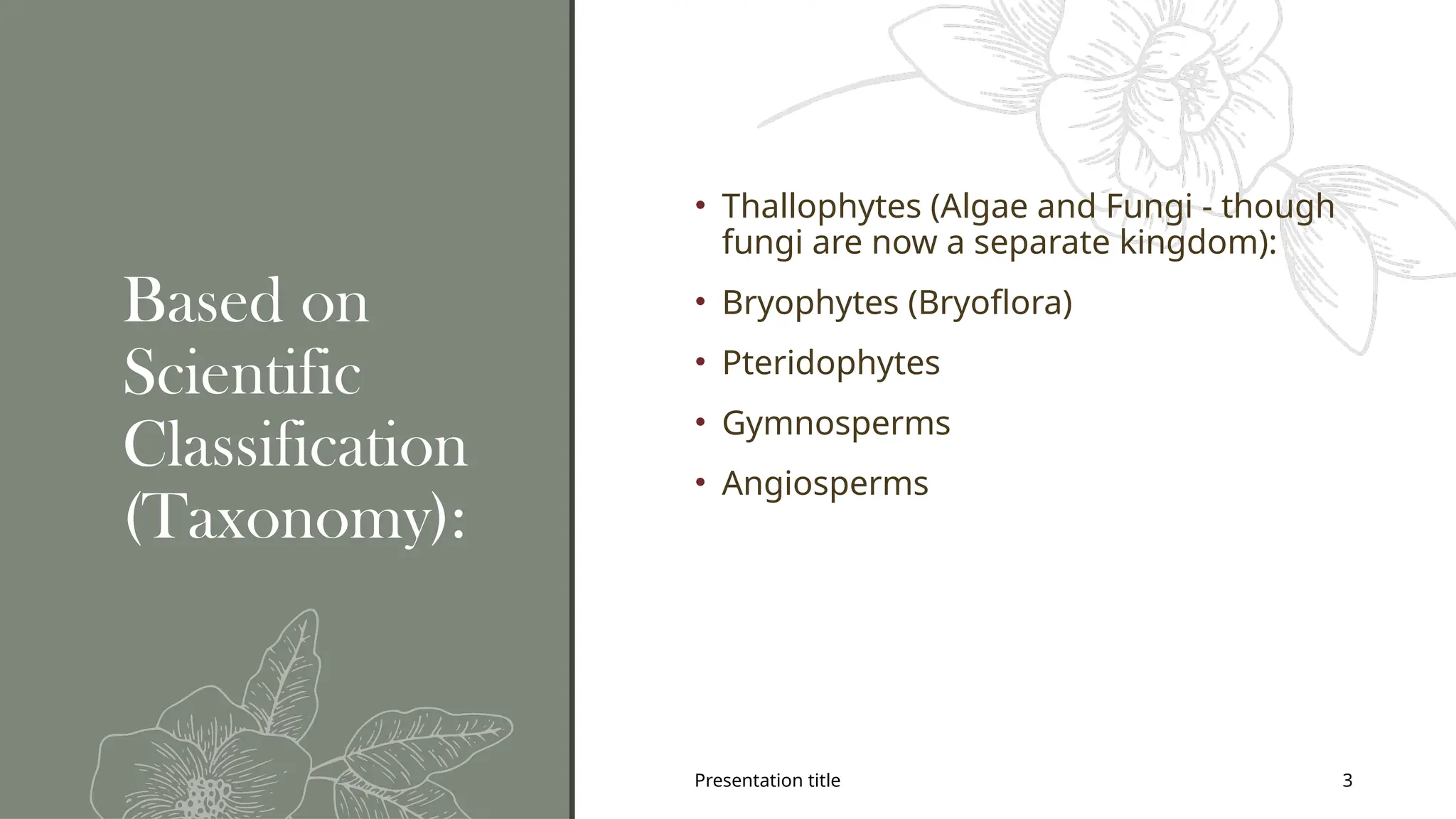 FFFFFFFFFFLLLLLLLLOOOOOOOORRRRRRAAAAA.pptx