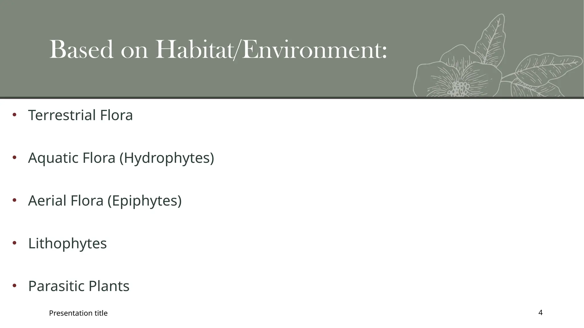 FFFFFFFFFFLLLLLLLLOOOOOOOORRRRRRAAAAA.pptx