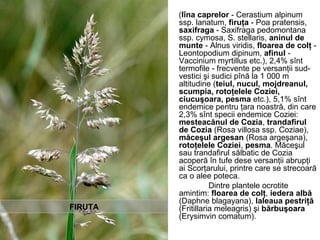 Flora cozia | PPT