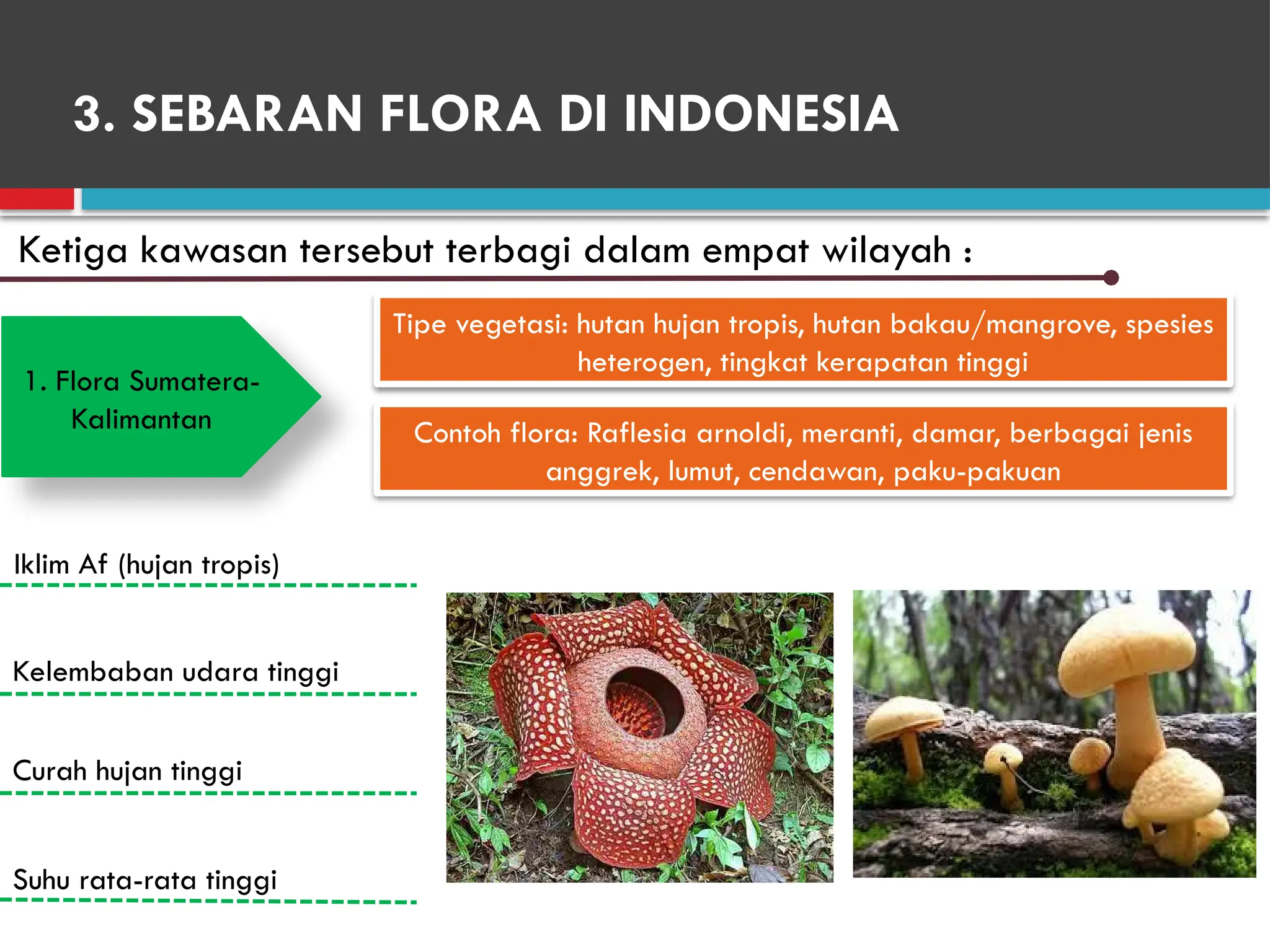Flora-fauna-di-indonesia-dan-dunia persebaran.pptx
