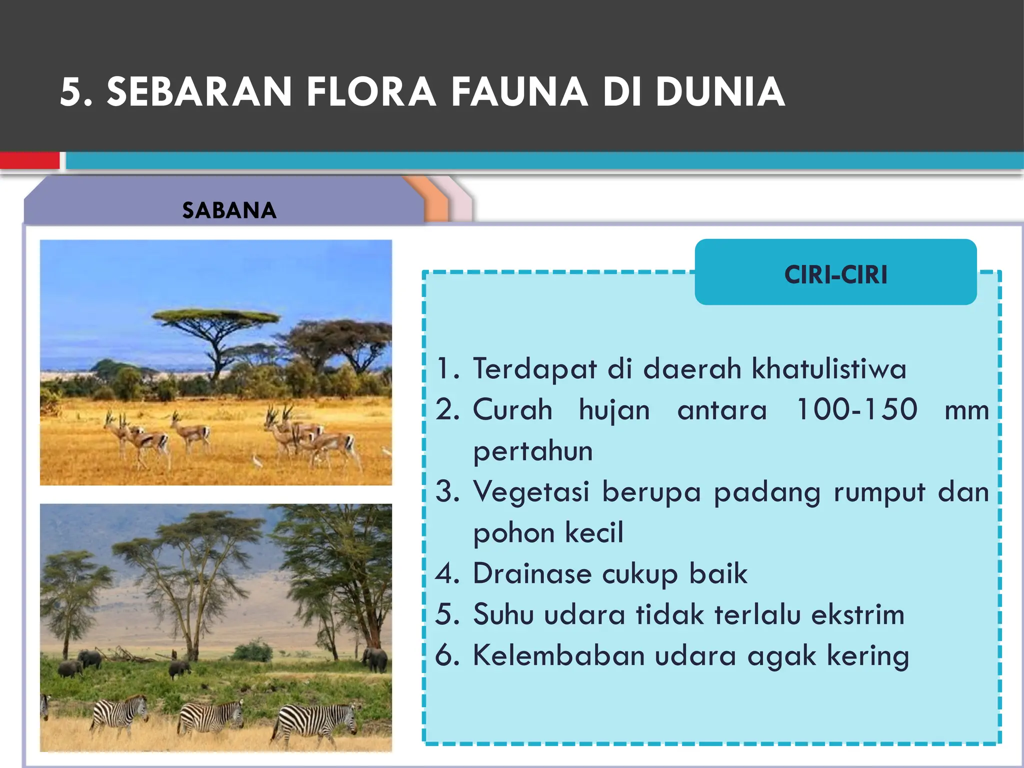 Flora-fauna-di-indonesia-dan-dunia persebaran.pptx