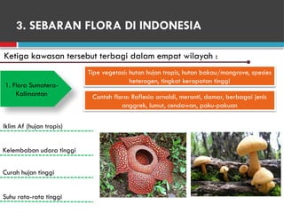 Flora-fauna-di-indonesia-dan-dunia persebaran.pptx