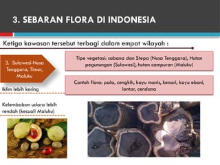 Flora-fauna-di-indonesia-dan-dunia persebaran.pptx