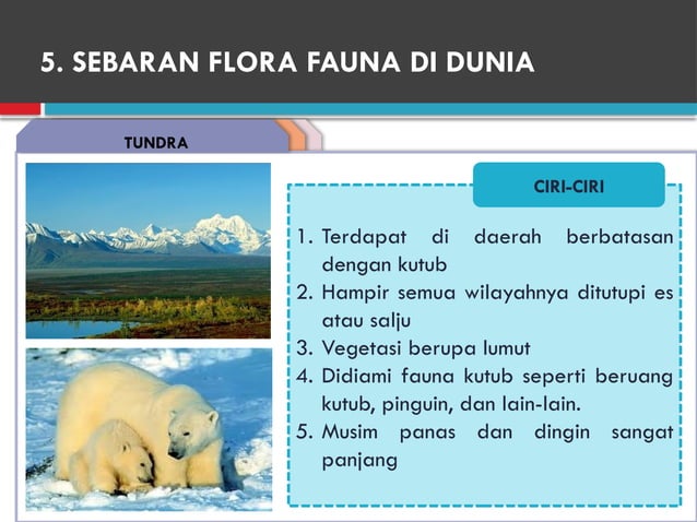 Flora-fauna-di-indonesia-dan-dunia persebaran.pptx