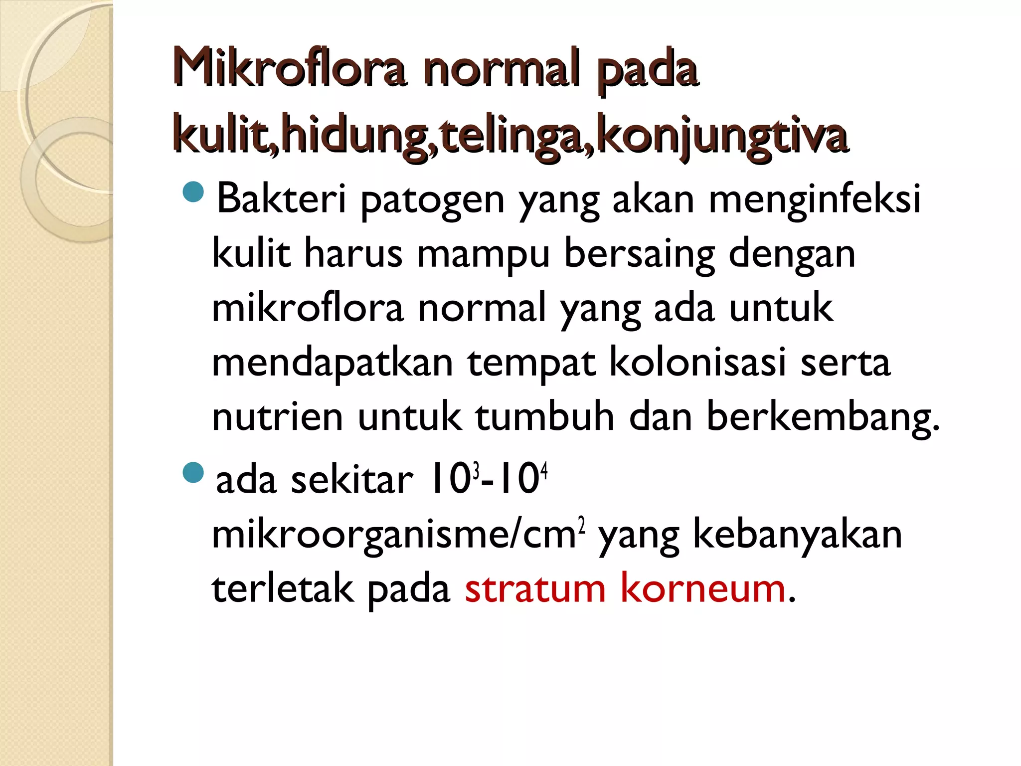Flora normal-blok-2-2 | PPT