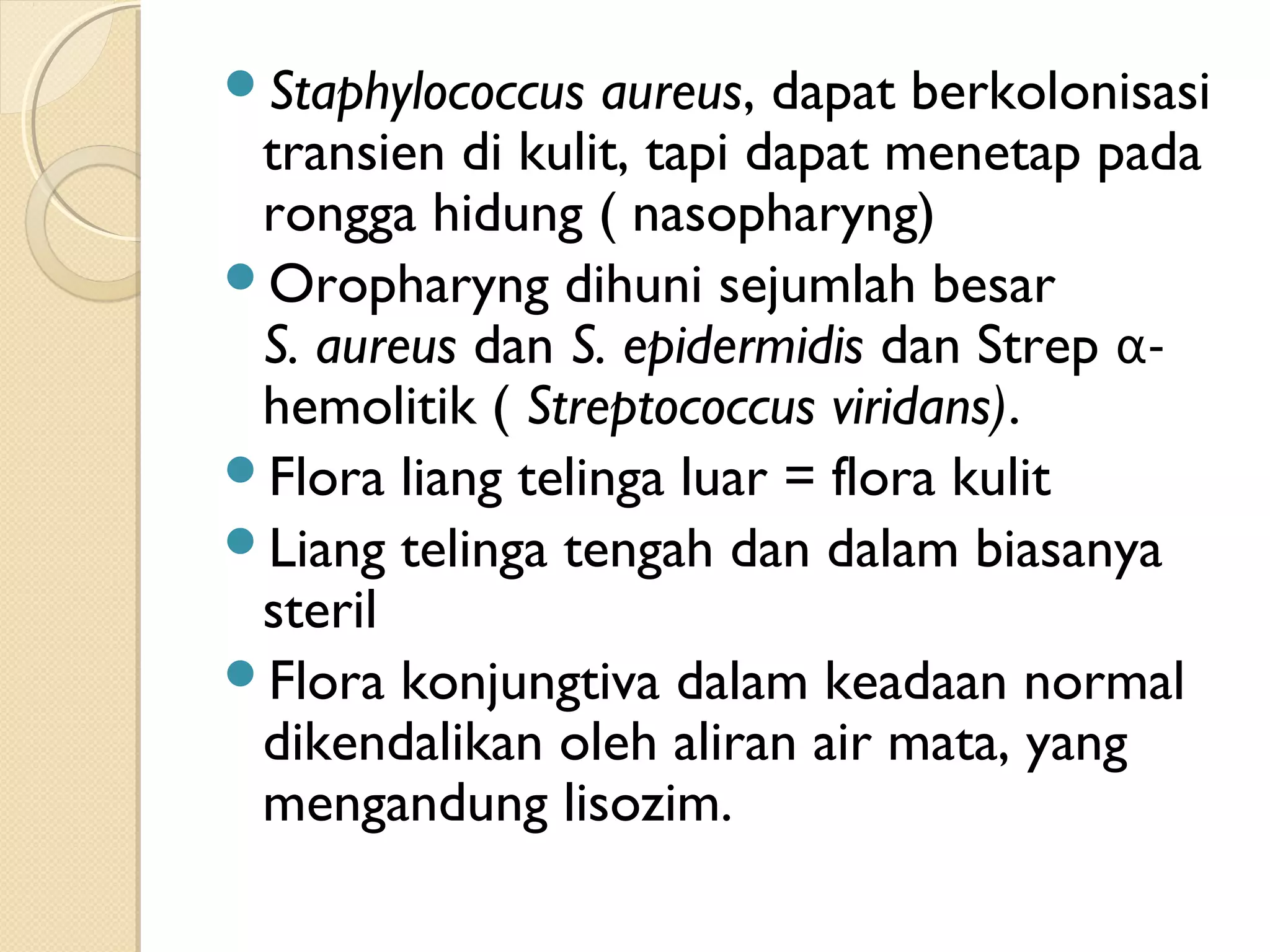 Flora normal-blok-2-2 | PPT