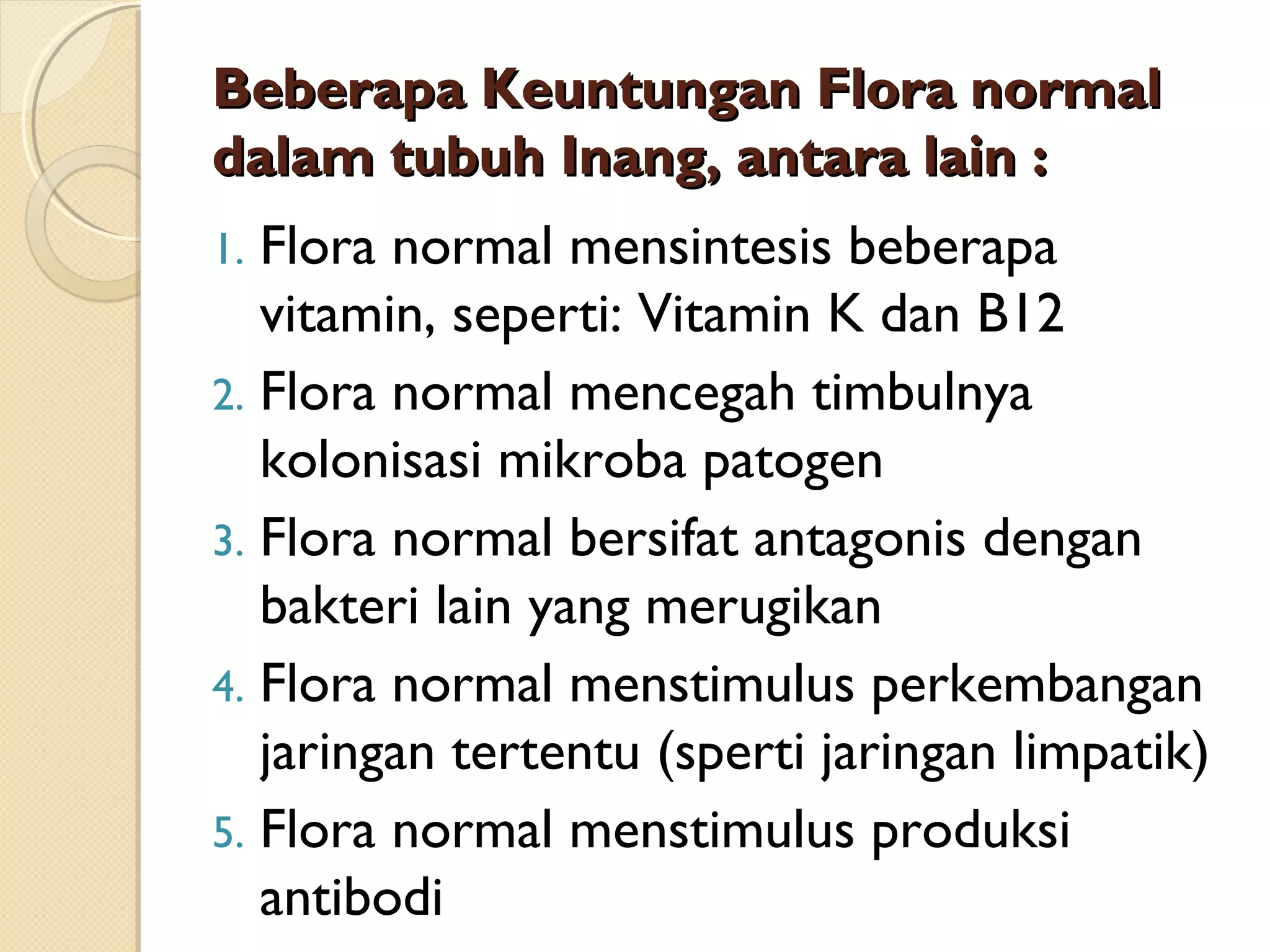 Flora normal-blok-2-2 | PPT