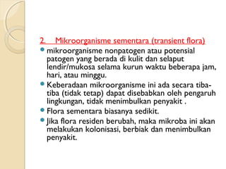 Flora normal-blok-2-2 | PPT