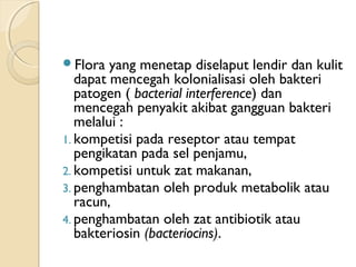 Flora normal-blok-2-2 | PPT