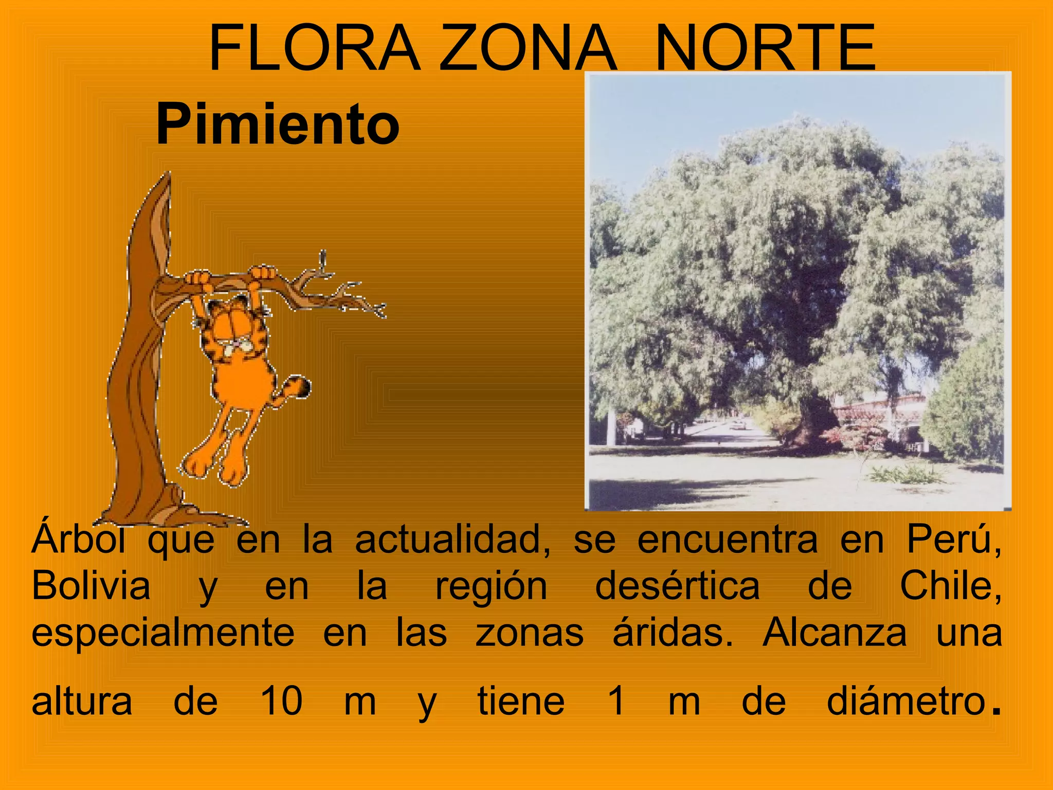 Flora y fauna de chile | PPT | South America Travel | Travel Locations