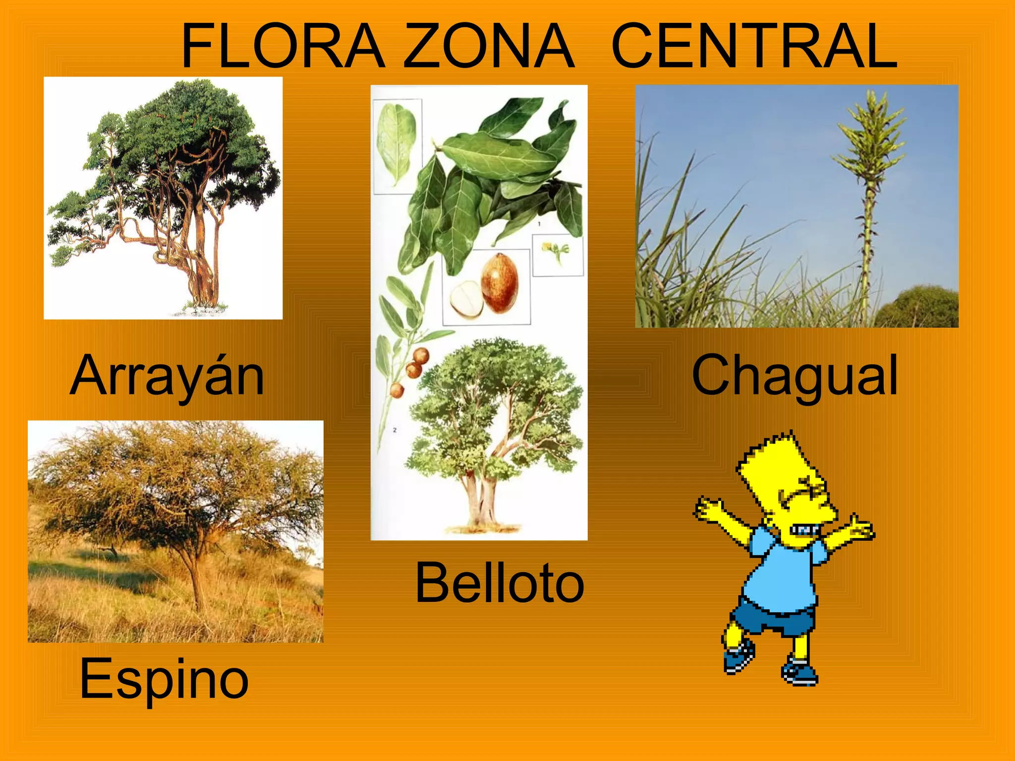 Flora y fauna de chile | PPT
