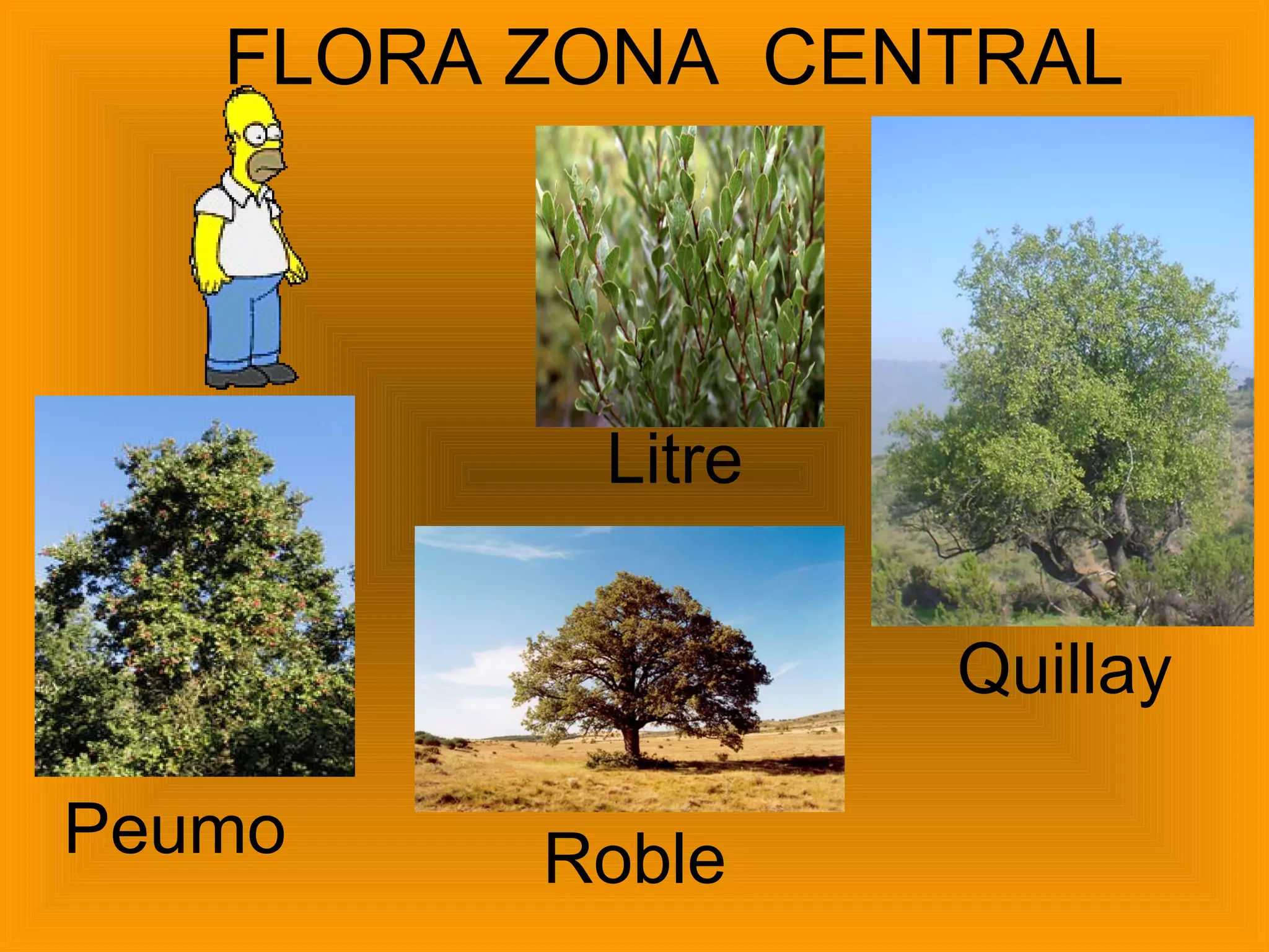Flora y fauna de chile | PPT | South America Travel | Travel Locations