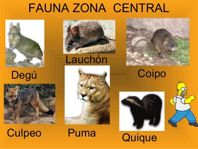 Flora y fauna de chile