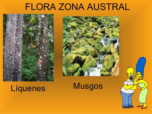 Flora y fauna de chile