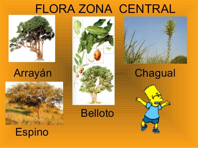 Flora y fauna de chile