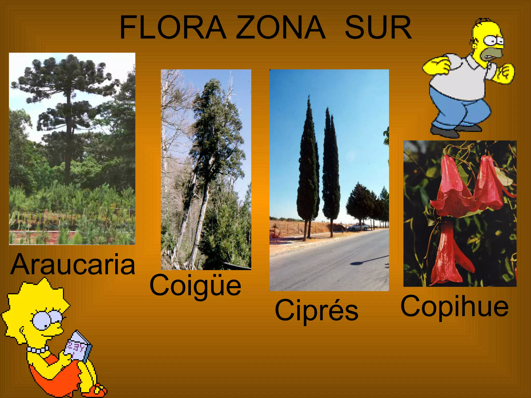 Flora Y Fauna De Chile | PPT | South America Travel | Travel Locations