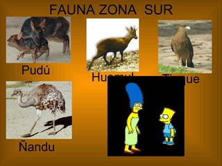 Flora Y Fauna De Chile | PPT
