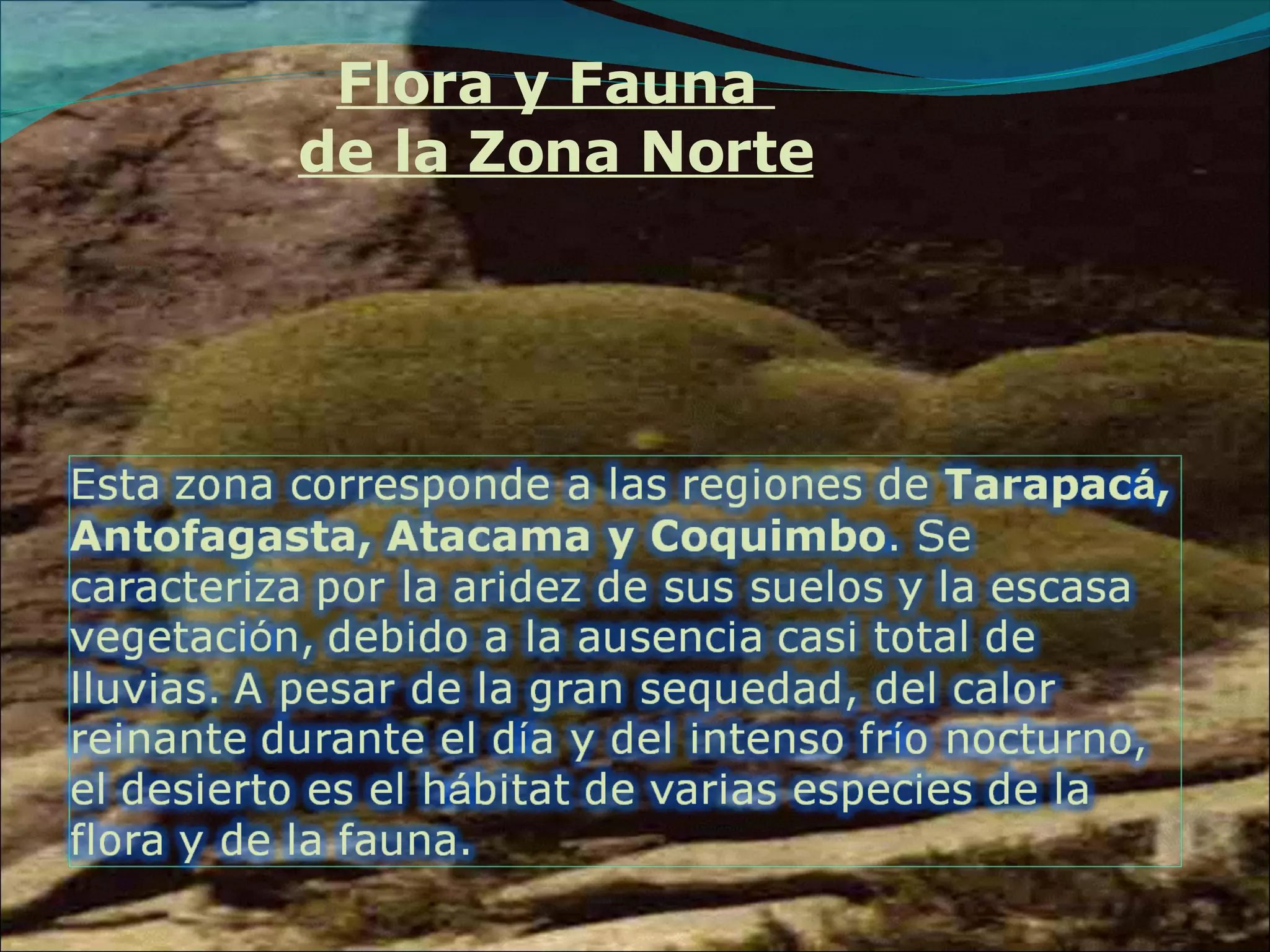 Flora Y Fauna De Chile.Ppt 2 | PPT