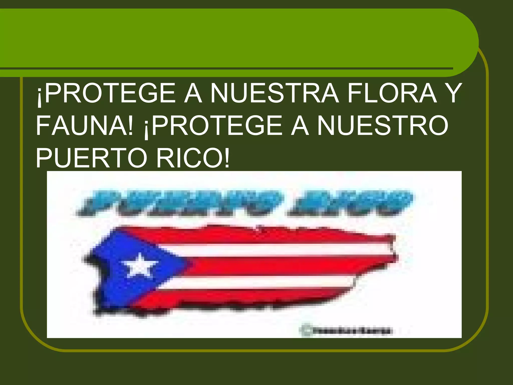 Flora Y Fauna De Puerto Rico