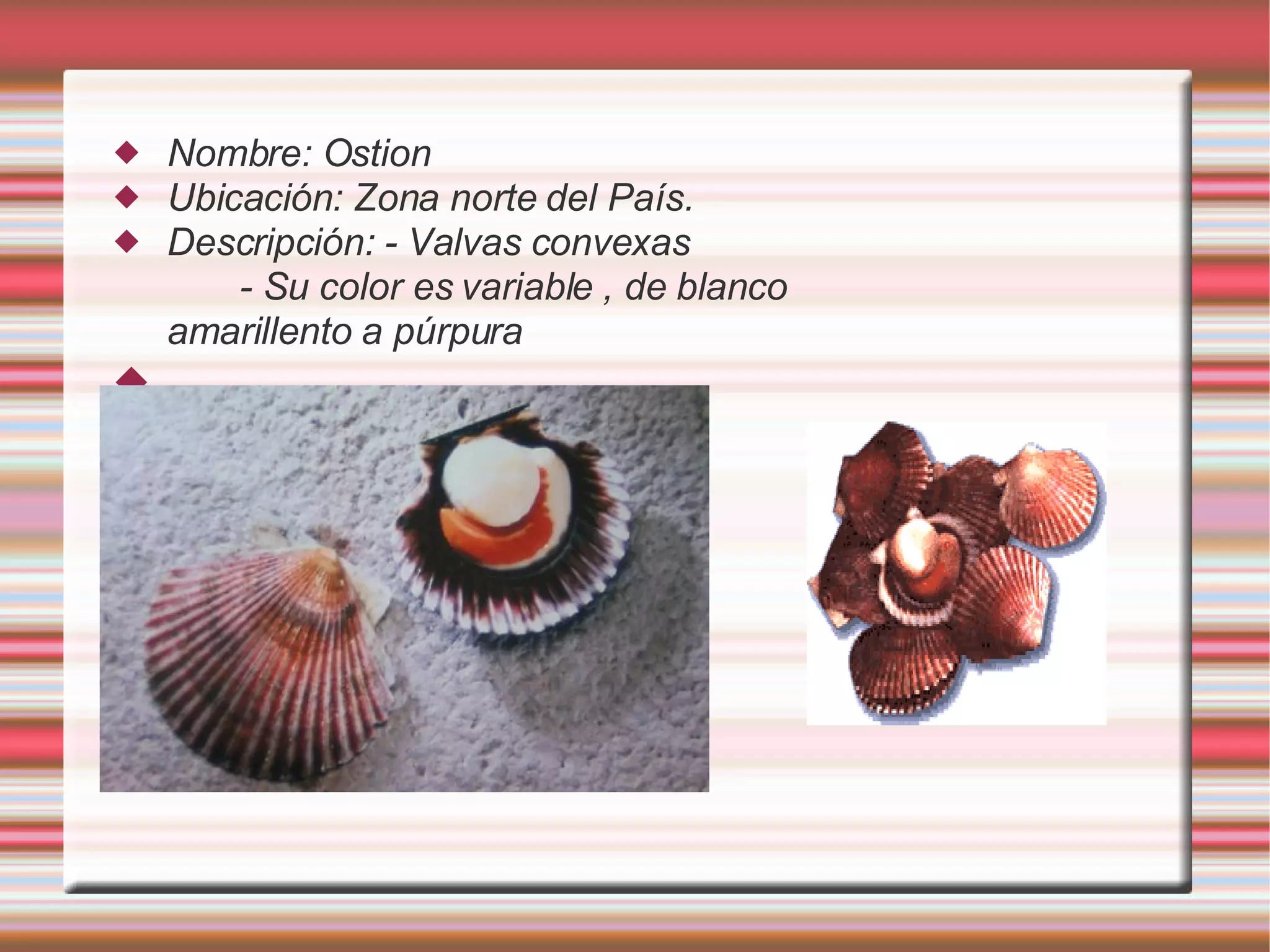 Flora Y Fauna Del Mar Chileno | PPT | South America Travel | Travel ...