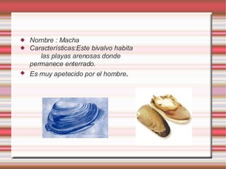 Flora Y Fauna Del Mar Chileno | PPT