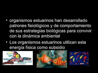 Flora Y Fauna Representativa De Estuarios Y Lagunas | PPT