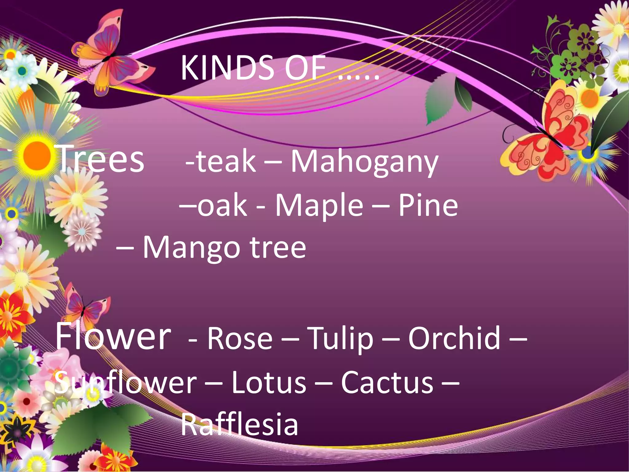 Flora and fauna | PPTX