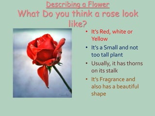 Flora and fauna | PPTX