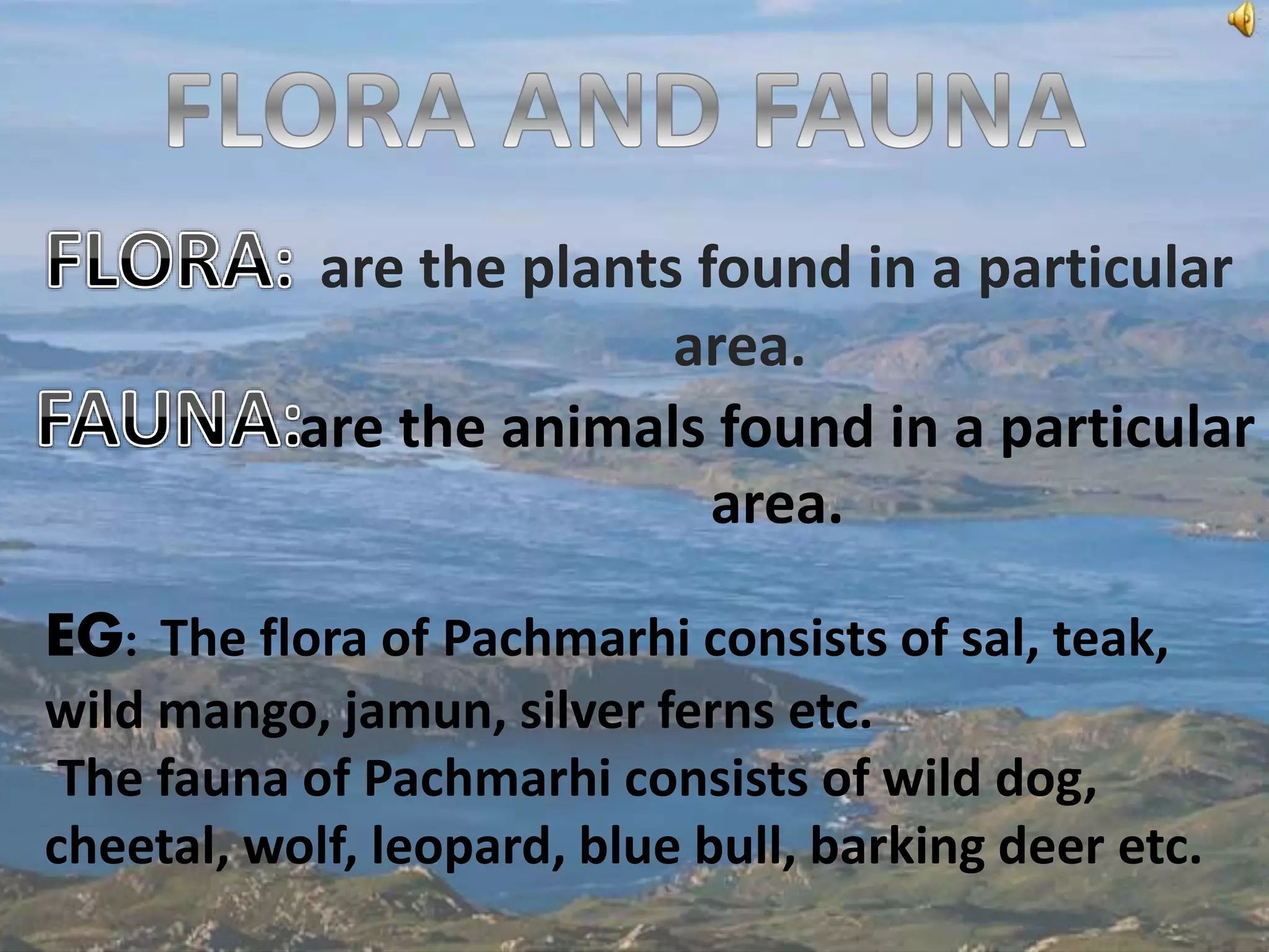 Flora and fauna | PPTX