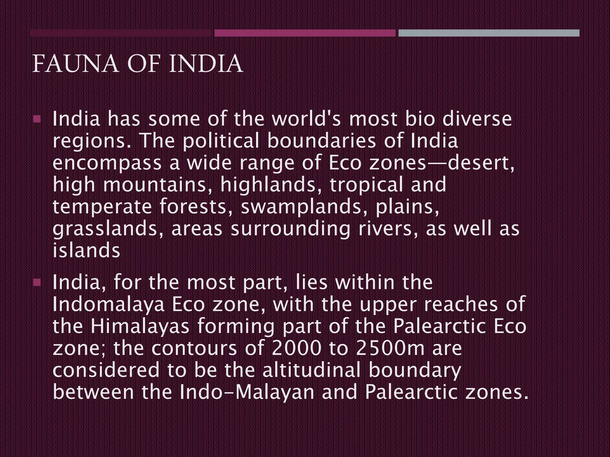 Flora and fauna | PPT