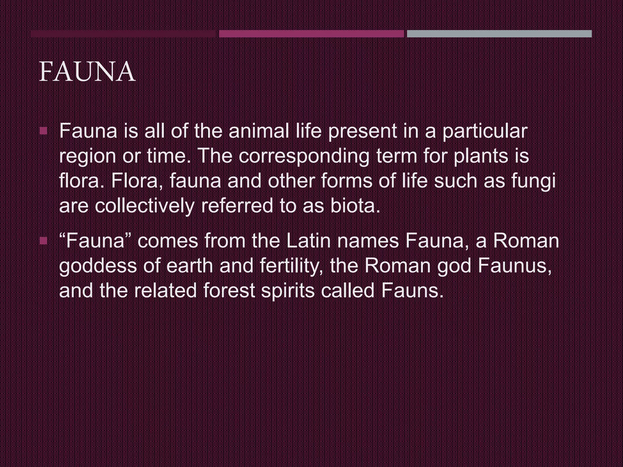 Flora and fauna | PPT