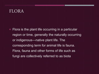 Flora and fauna | PPT