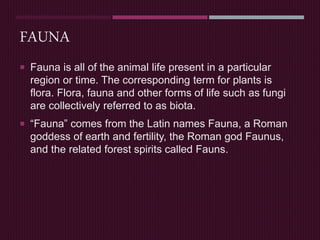 Flora and fauna | PPT
