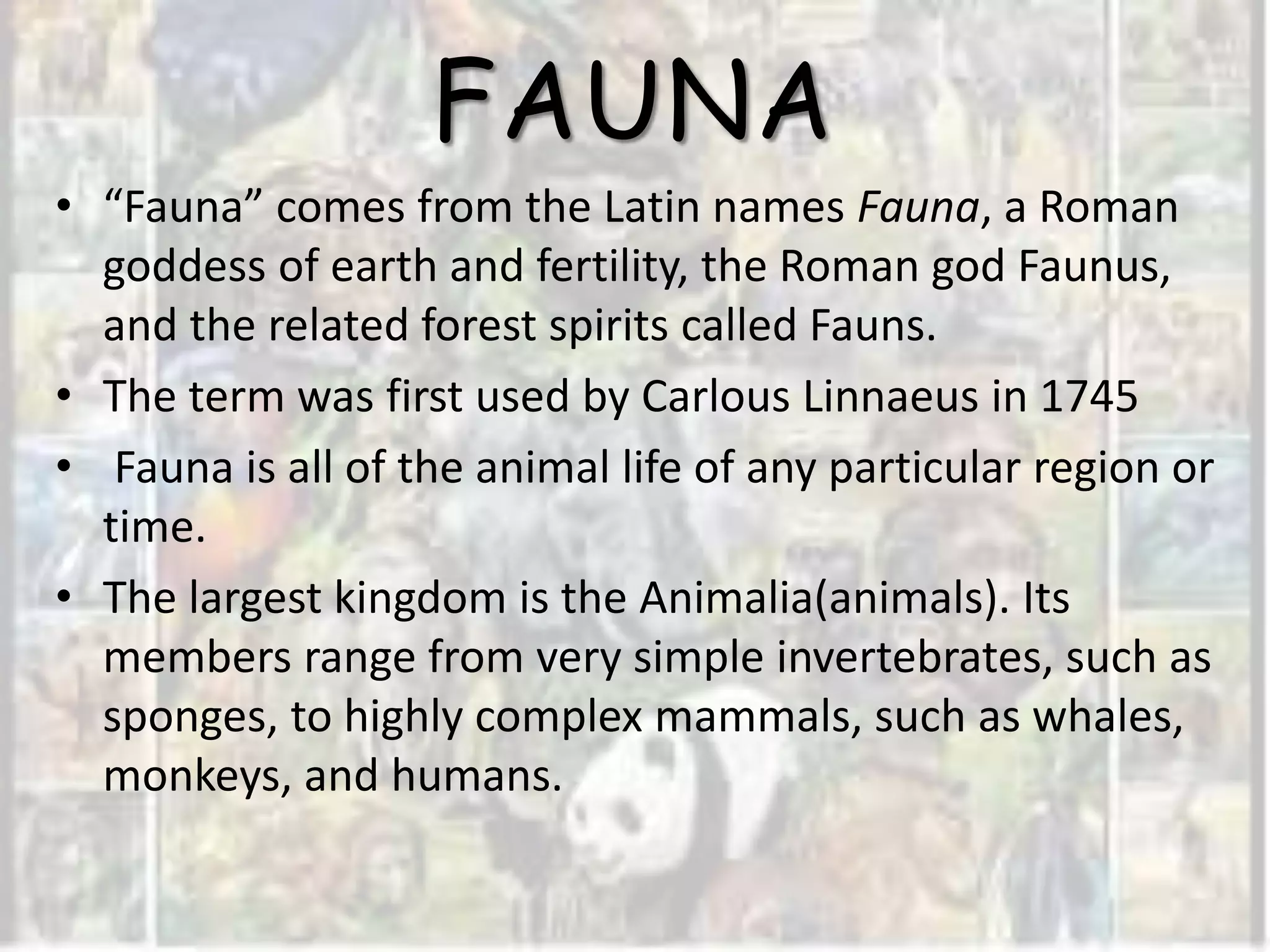 Flora and Fauna-geography | PPTX