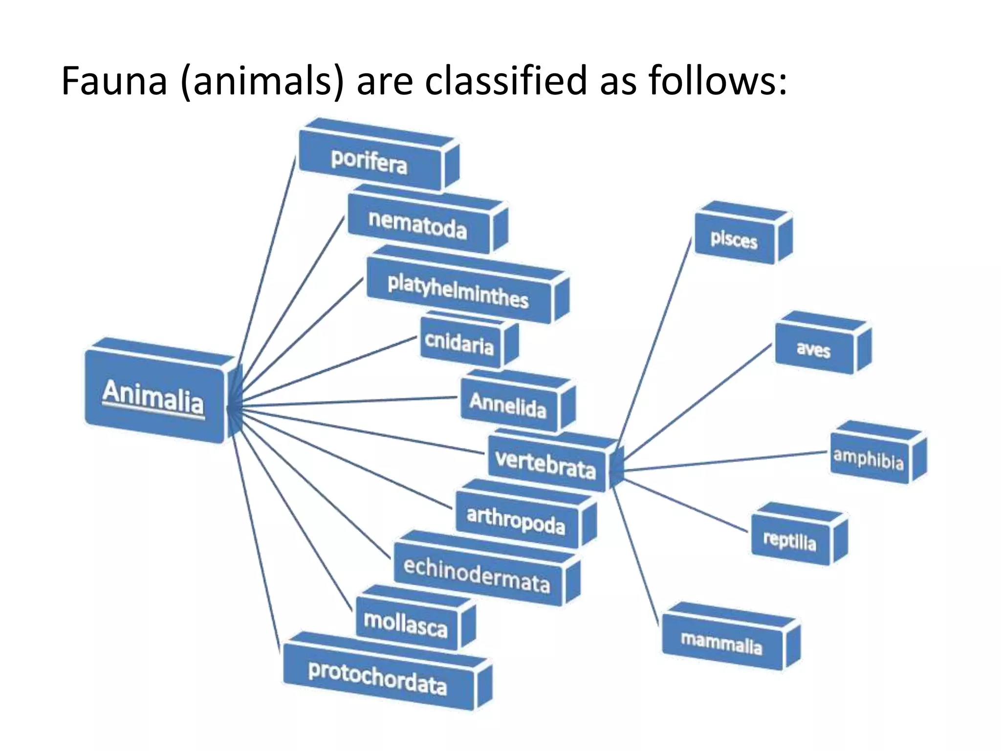 Flora and Fauna-geography | PPTX