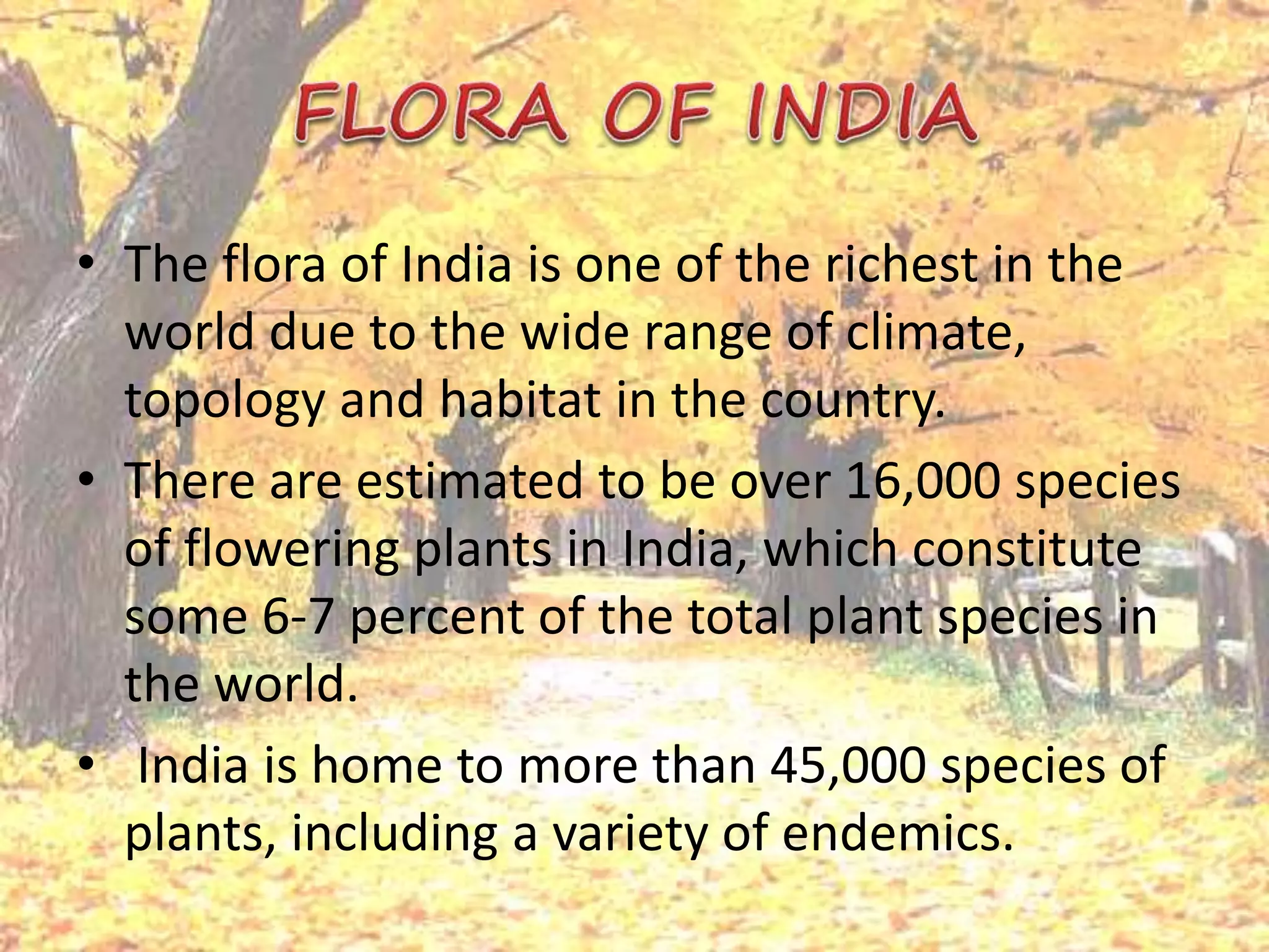 Flora and Fauna-geography | PPTX