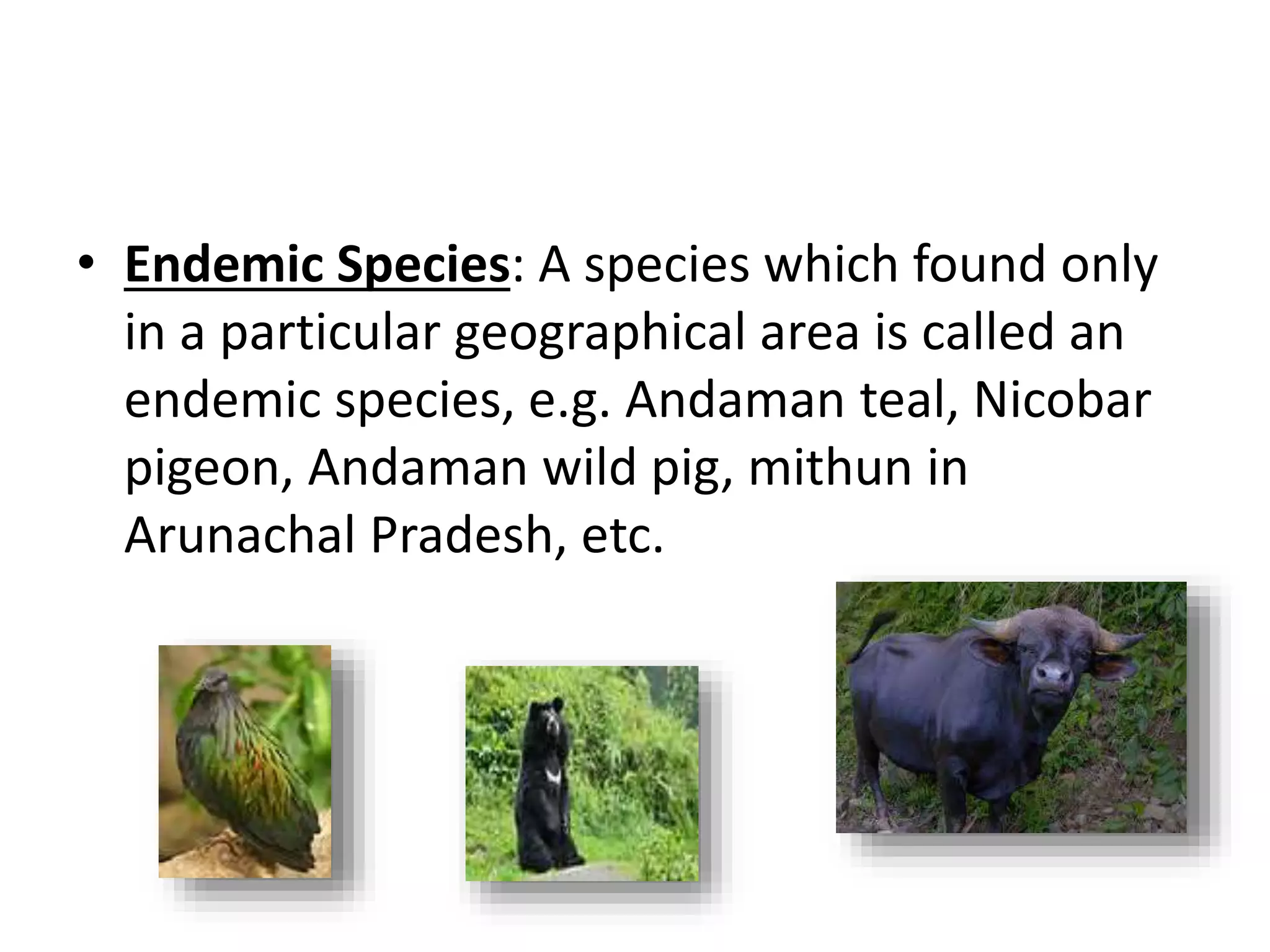 Flora and Fauna-geography | PPTX
