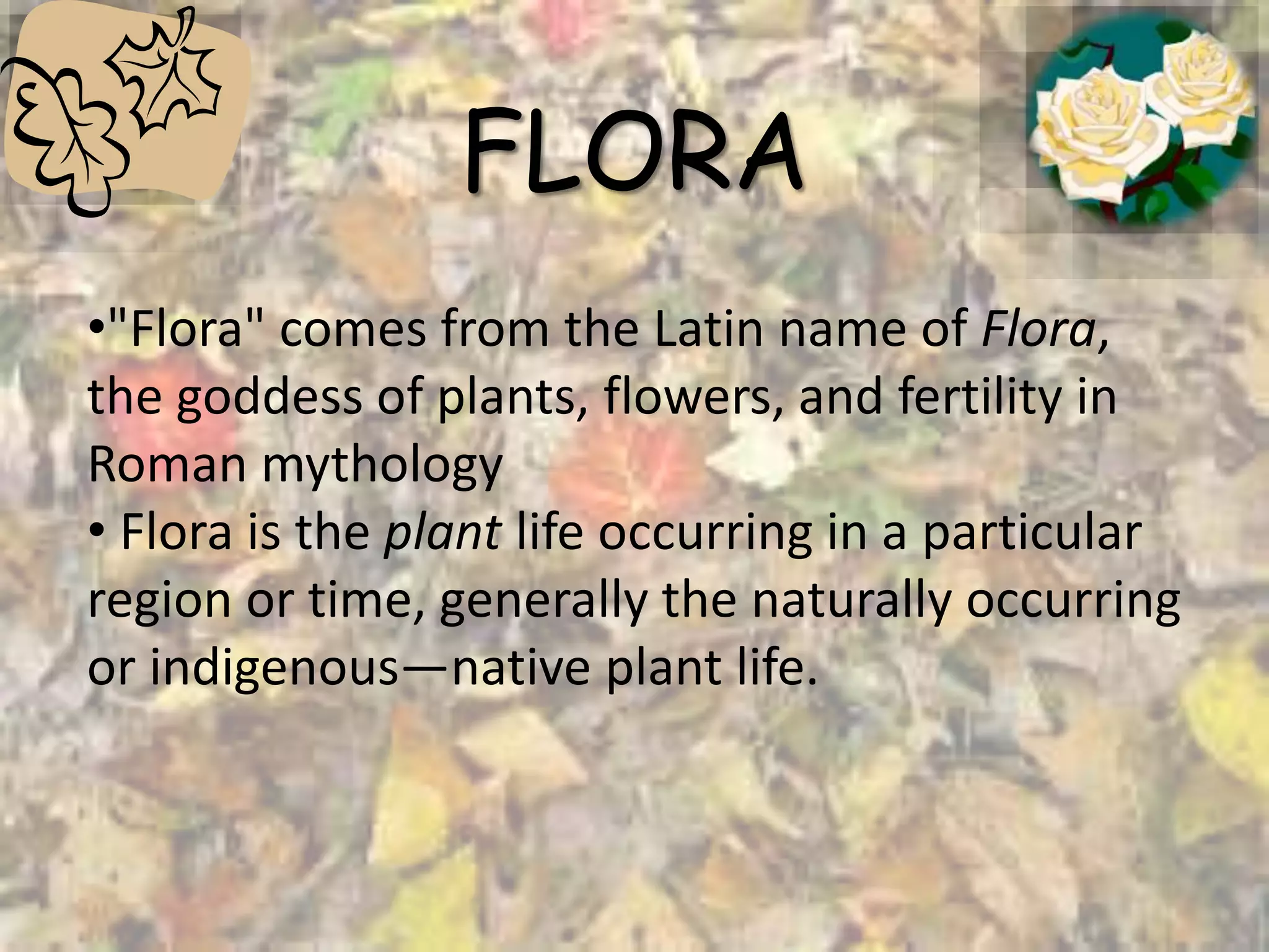 Flora and Fauna-geography | PPTX