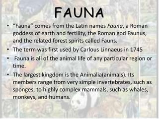 Flora and Fauna-geography | PPTX