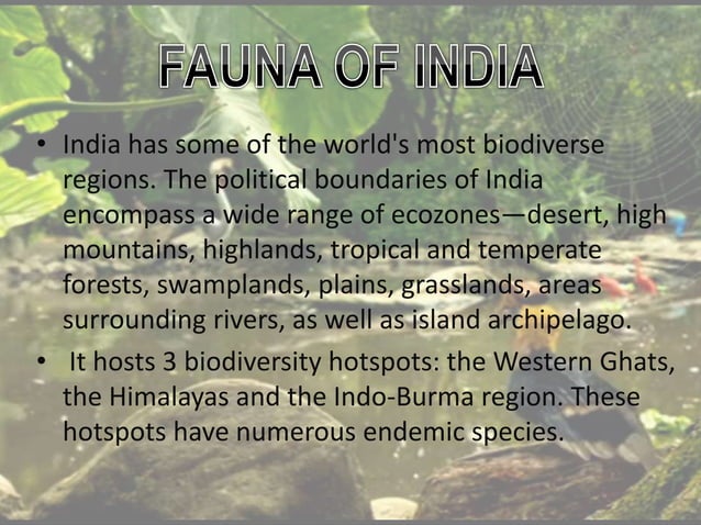 Flora and Fauna-geography | PPTX