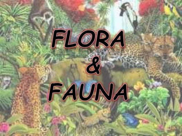Flora and Fauna-geography | PPTX