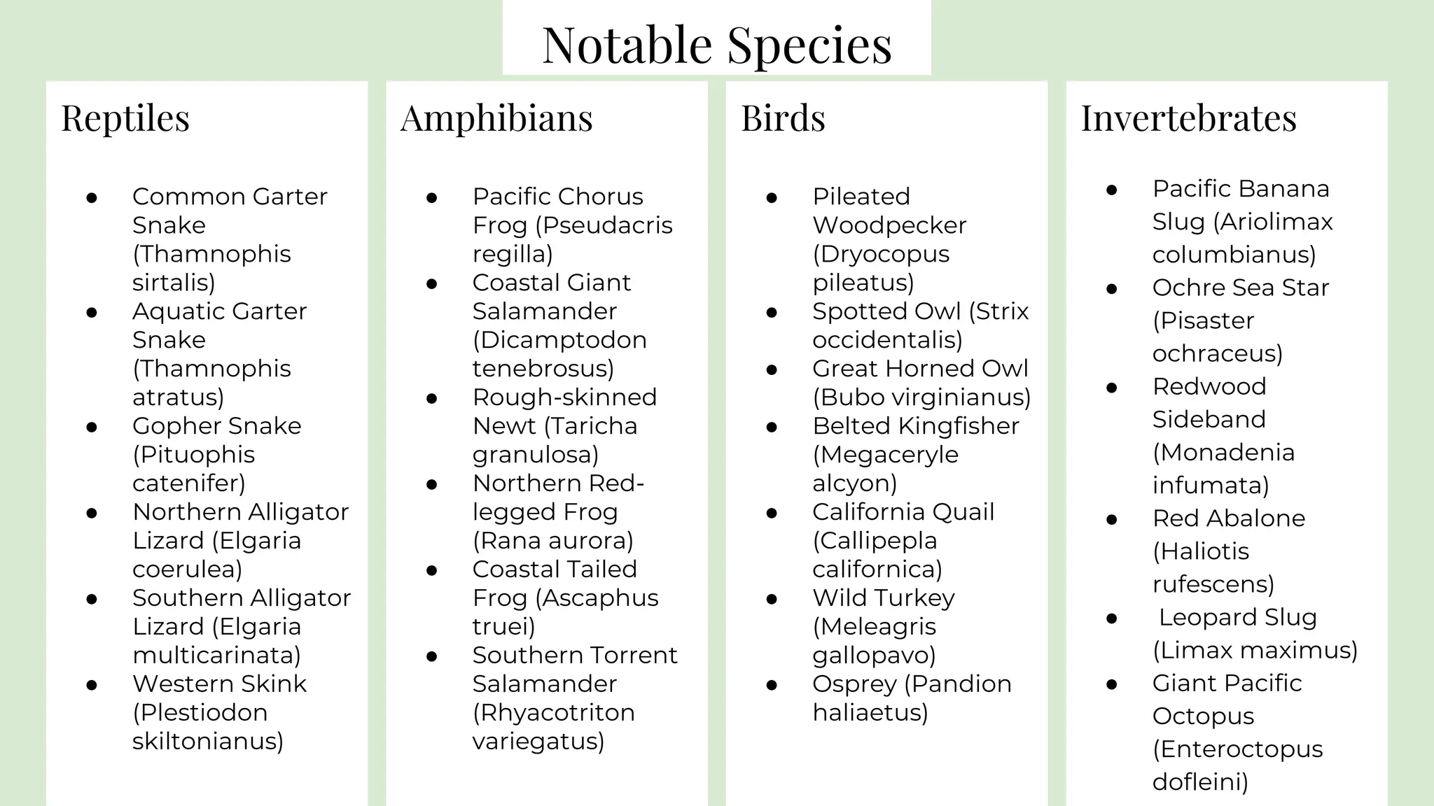 Flora and Fauna Biodiversity in the Redwood Forest.pptx