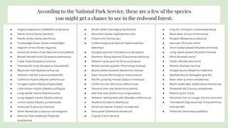 Flora and Fauna Biodiversity in the Redwood Forest.pptx