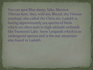 FLORA AND FAUNA LADAKH.pptx