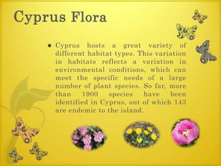 Flora and Fauna of Cyprus Eco Map | PPT
